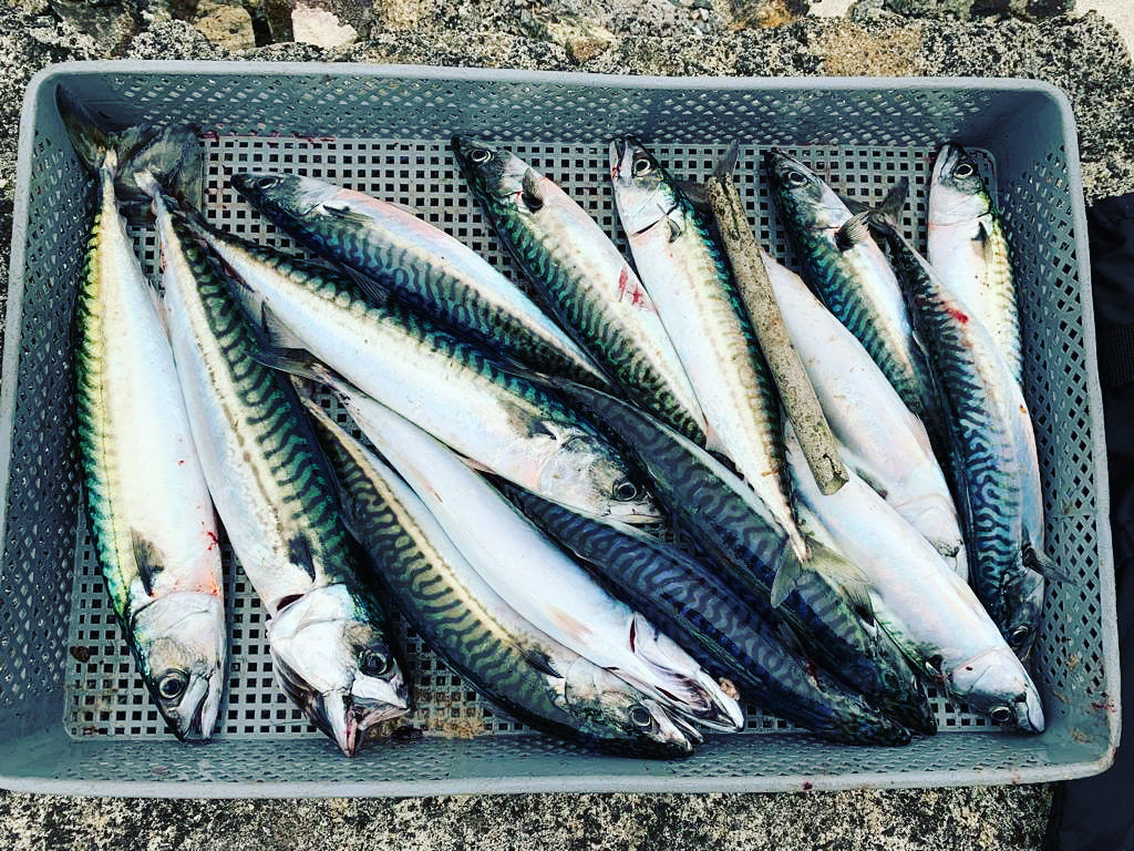 Harris Glass Studio – Isle of Harris Glass Studio