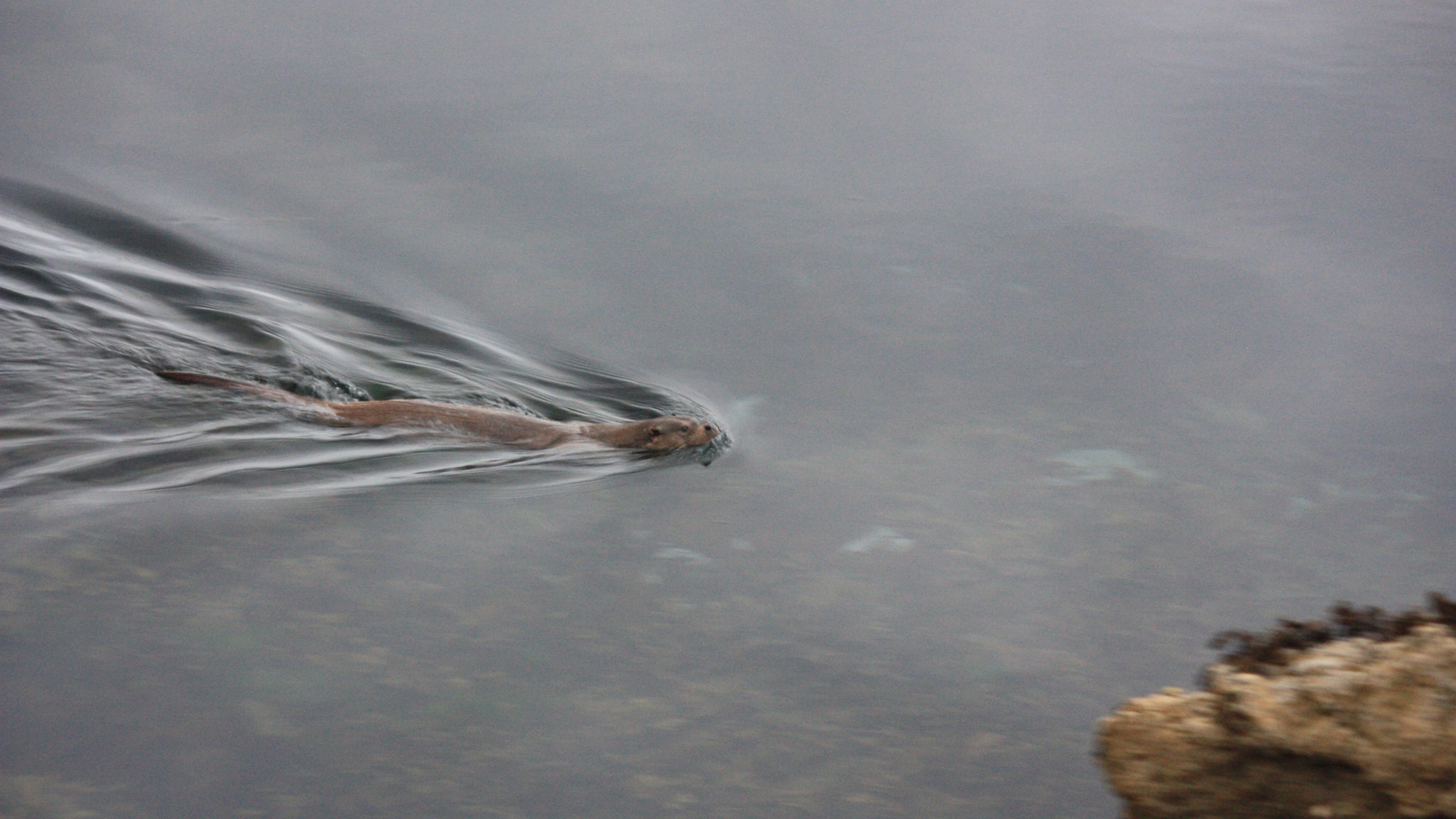 Harris Glass Studio – Isle of Harris Glass Studio